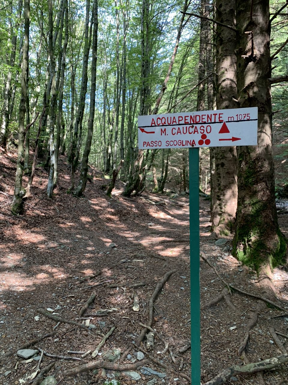 SENTIERO AD ANELLO DEL M.CAUCASO - Io mi muovo